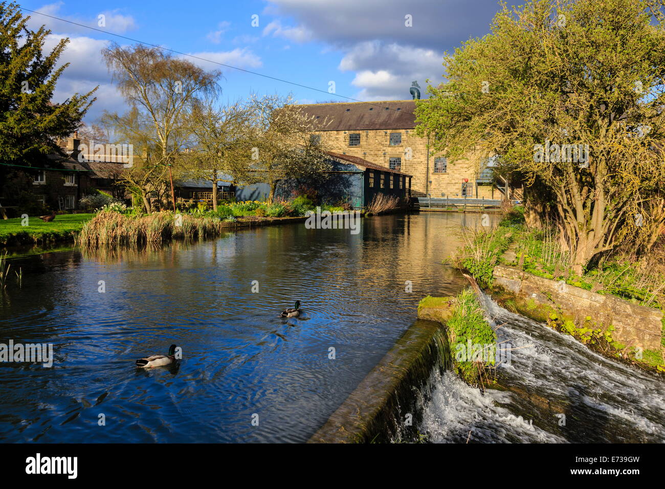 Great rowsley hi-res stock photography and images - Alamy