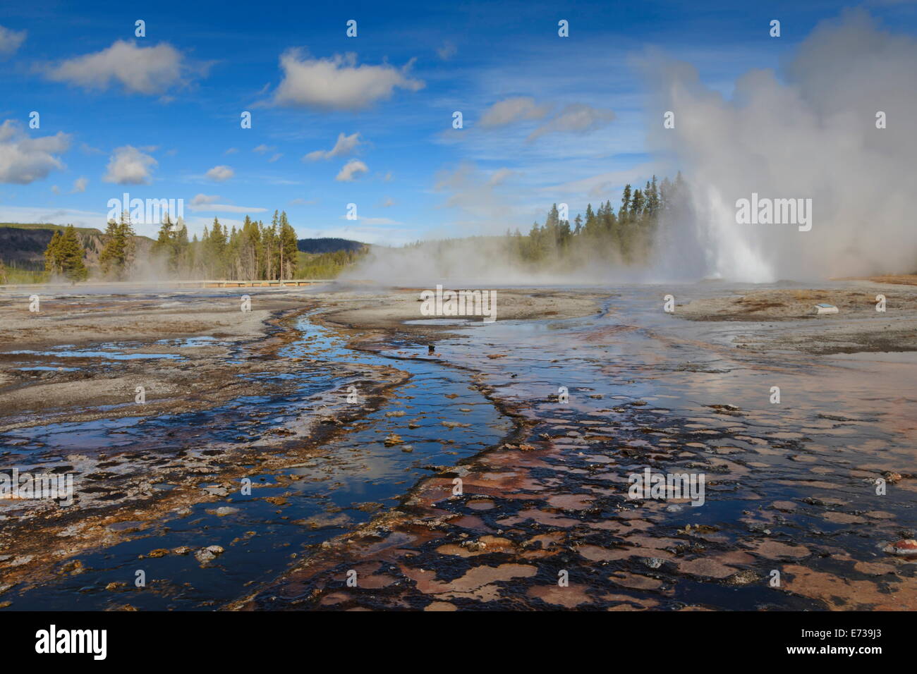 Daisy Geyser erupts at an angle, Upper Geyser Basin, Yellowstone ...