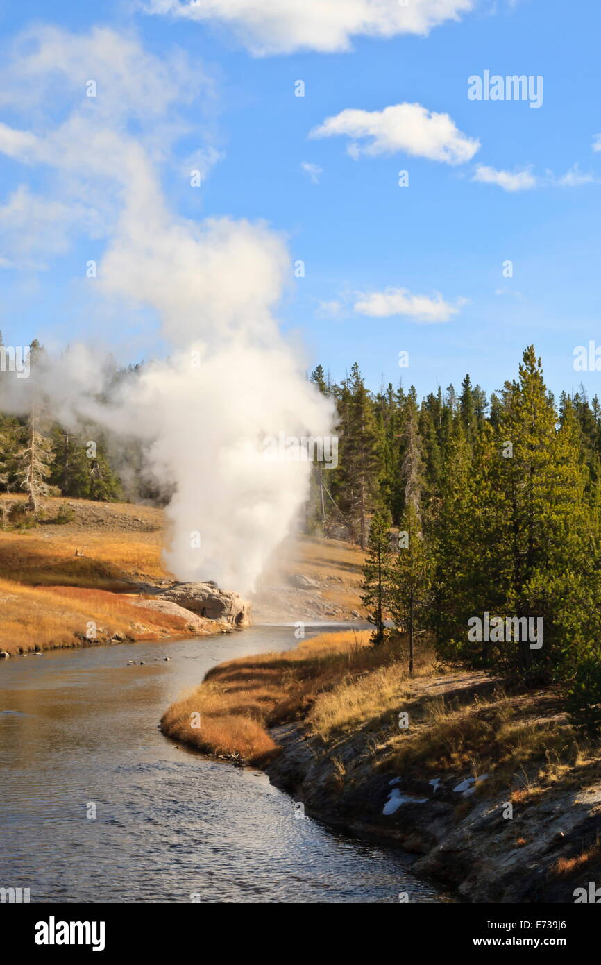 Eruption of Riverside Geyser seen from Firehole River bridge ...