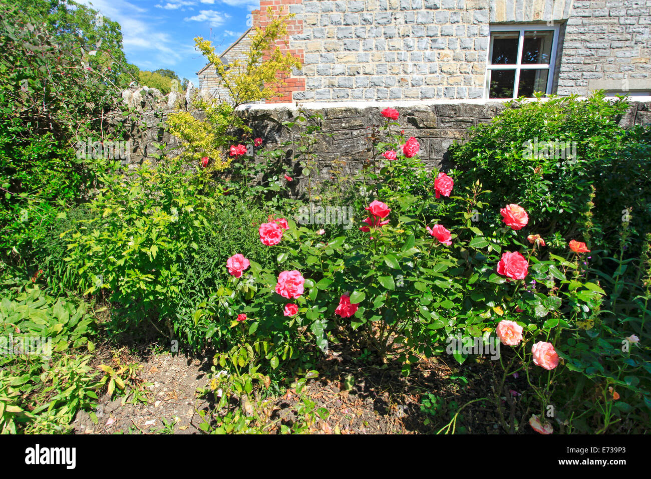Westcountry scene hi-res stock photography and images - Alamy