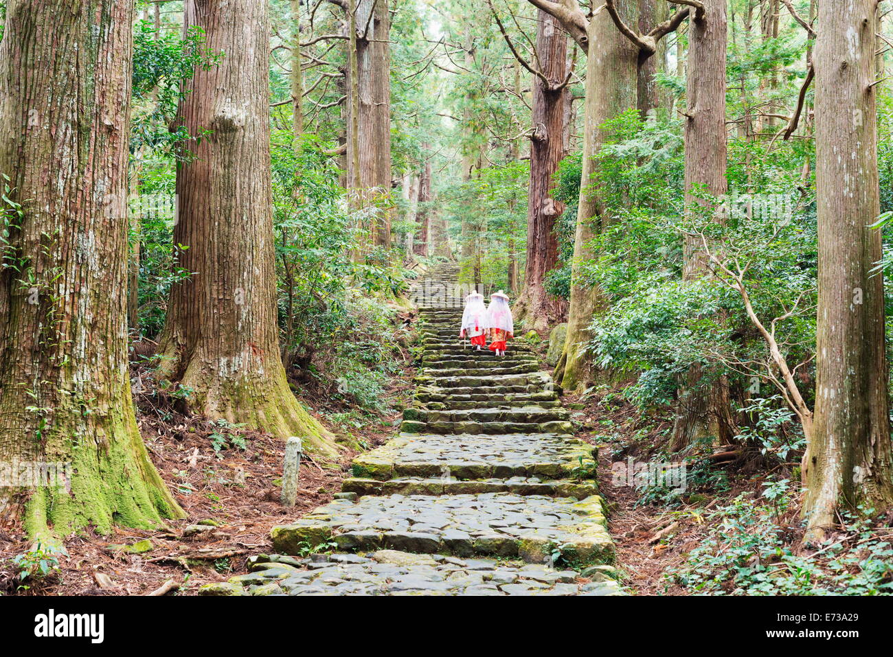 Pilgrims on Daimon-zaka Nachi Tokaido pilgrimage route, UNESCO World ...
