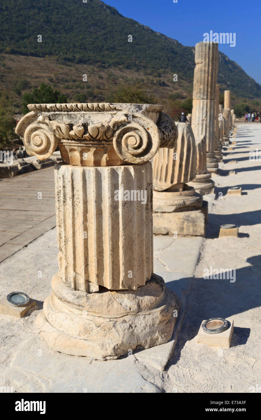 Ionic column, ancient Ephesus, near Kusadasi, Anatolia, Turkey, Asia ...