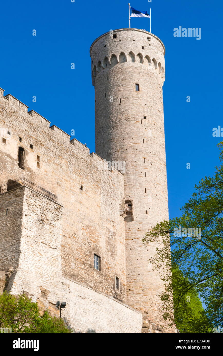 Toompea castle hi-res stock photography and images - Alamy