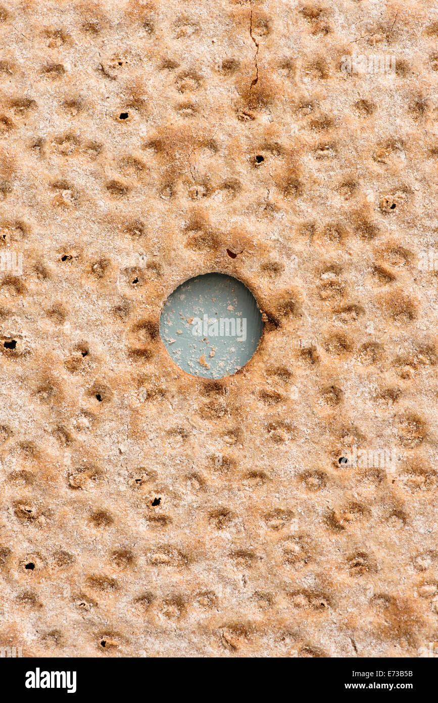 Closeup of swedish crispbread, flat rye bread Stock Photo - Alamy