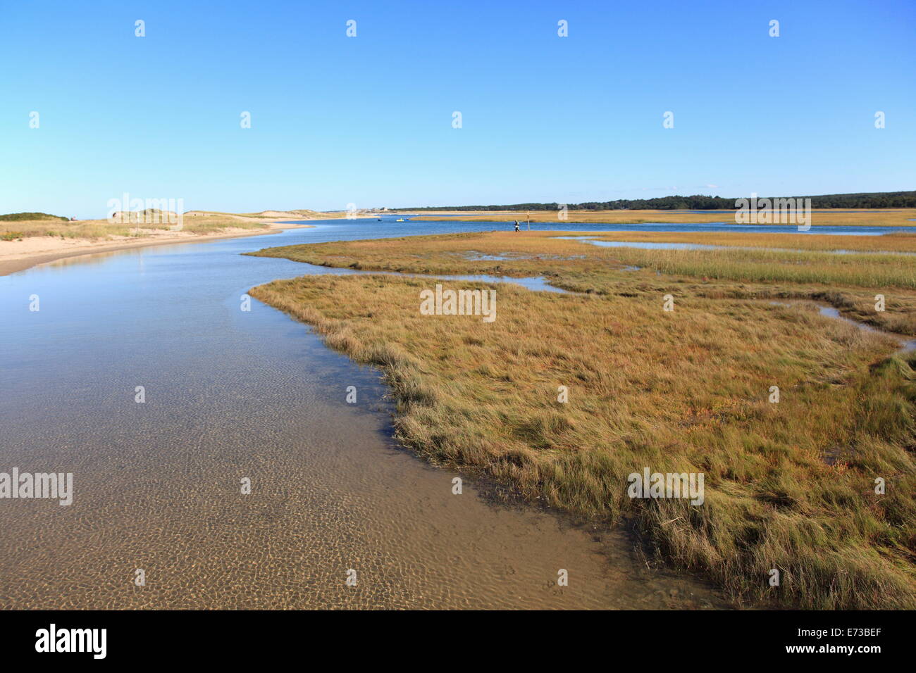 Salt Marsh, Sandwich, Cape Cod, Massachusetts, New England, United ...