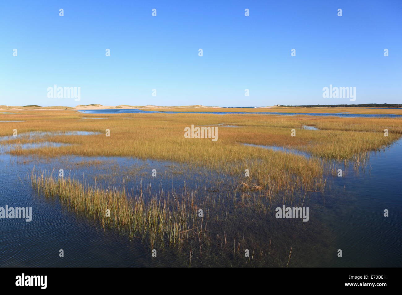 Salt marsh us hi-res stock photography and images - Alamy