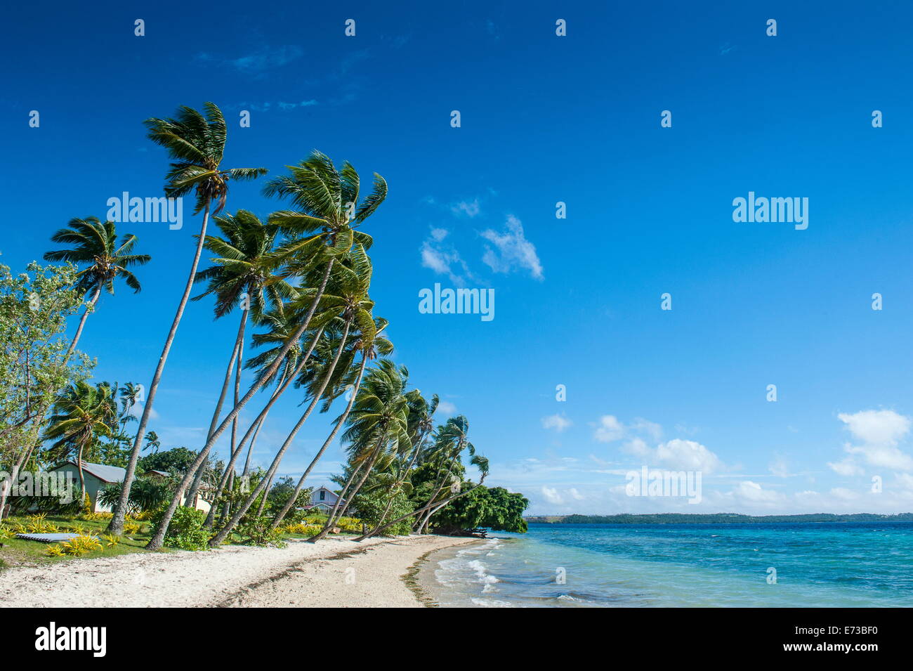 Palm fringed white sand beach on an islet of Vavau, Vavau Islands ...