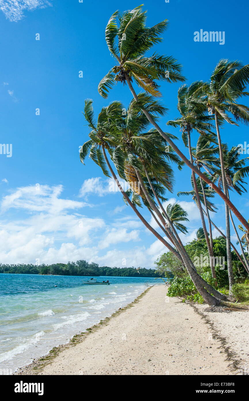 Palm fringed white sand beach on an islet of Vavau, Vavau Islands ...