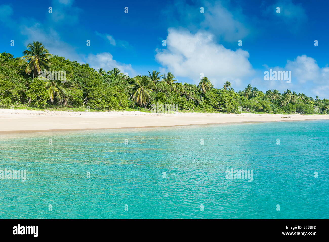 Palm fringed white sand beach in Haapai, Haapai Islands, Tonga, South ...