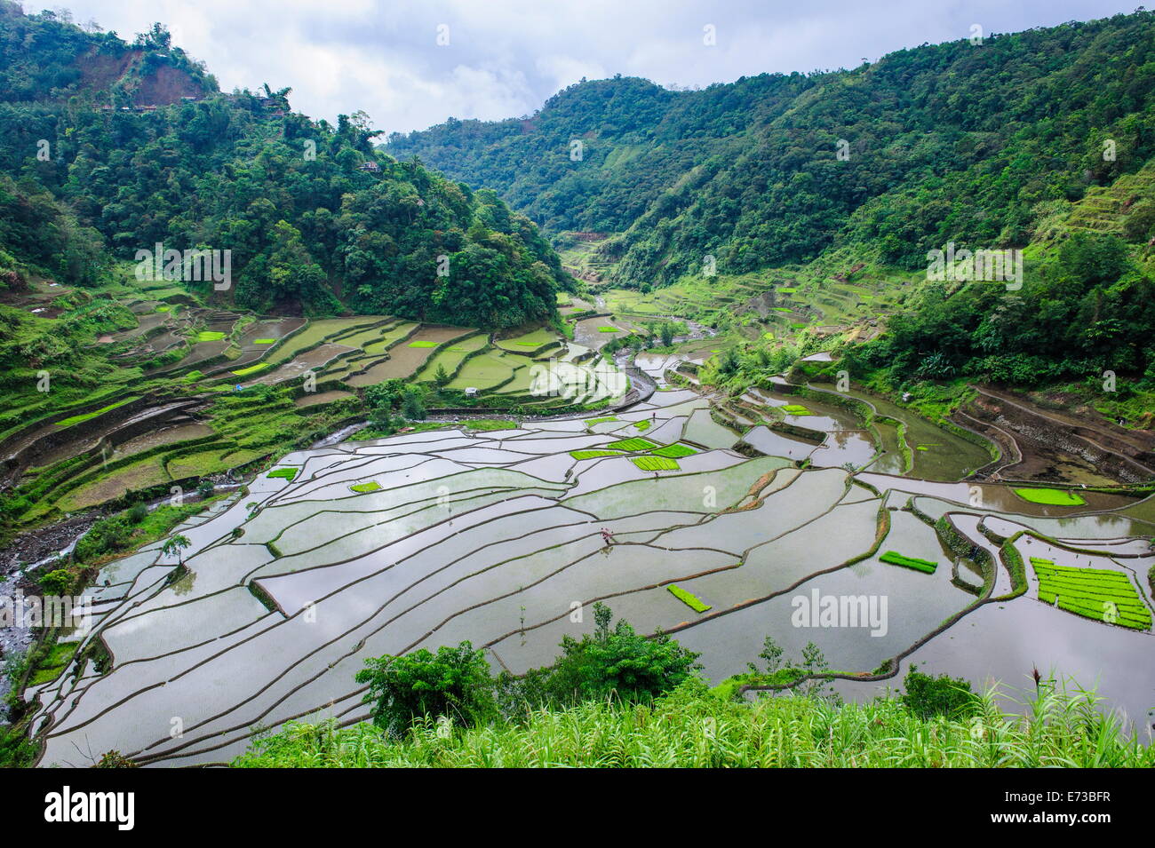 The rice terraces of Banaue, UNESCO World Heritage Site, Northern Luzon ...