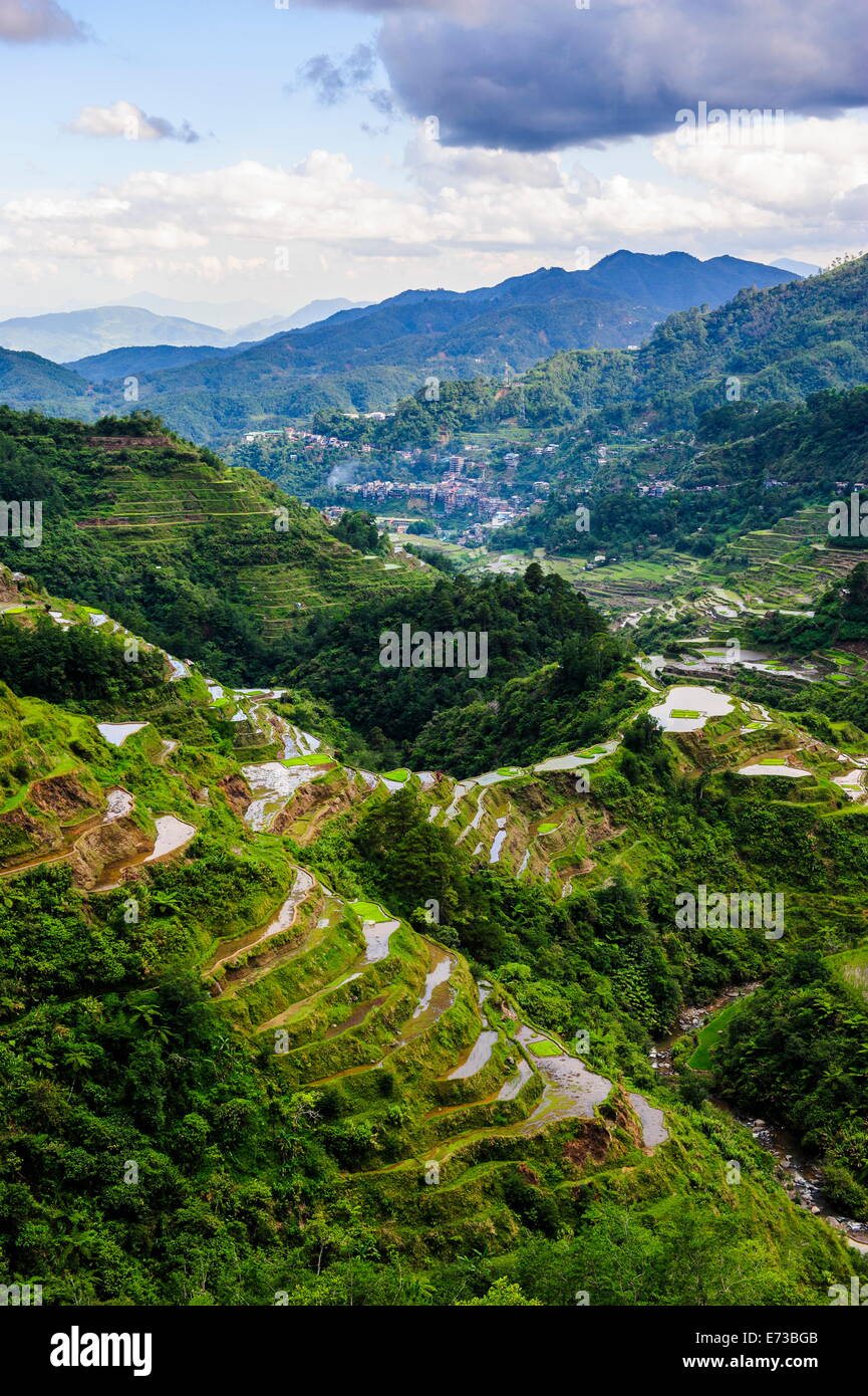 The rice terraces of Banaue, UNESCO World Heritage Site, Northern Luzon ...
