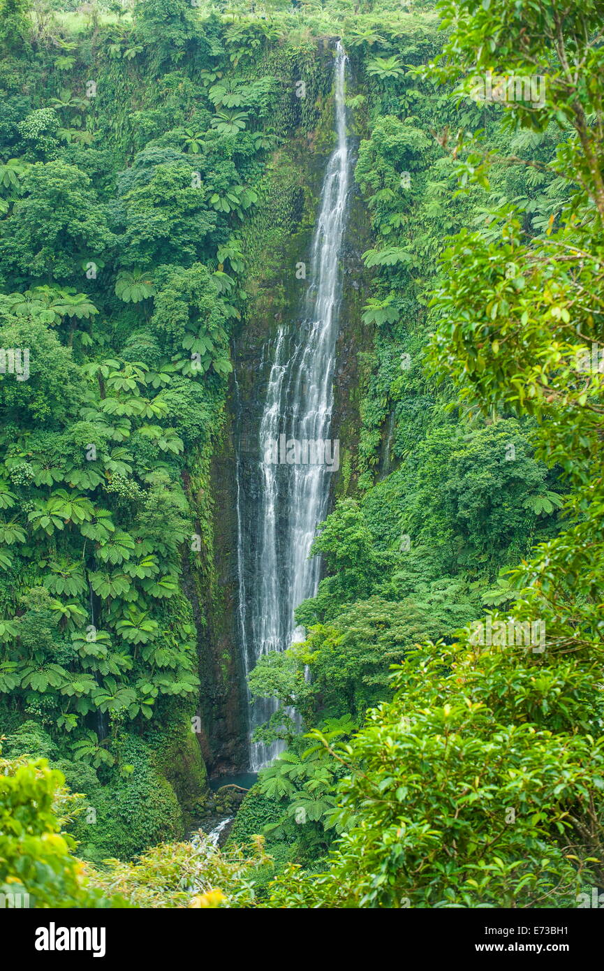Samoa upolu hi-res stock photography and images - Alamy