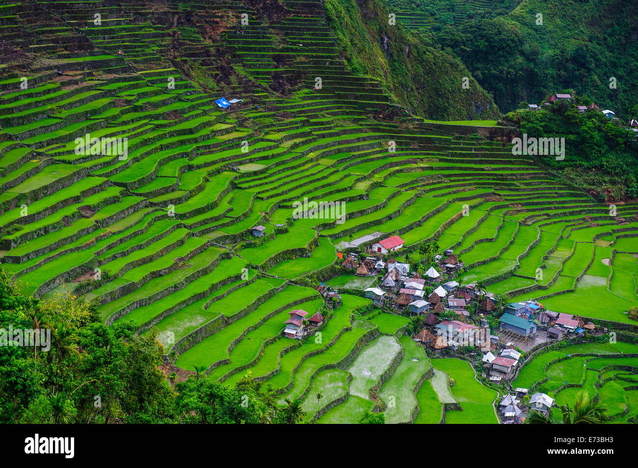 Batad rice terraces, part of the UNESCO World Heritage Site of Banaue ...
