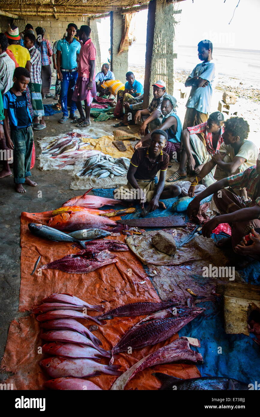 Men selling fish at the Fish Market of Hadibo, capital of the island of ...