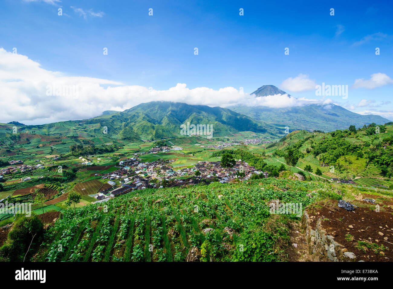 View over the Dieng Plateau, Java, Indonesia, Southeast Asia, Asia ...