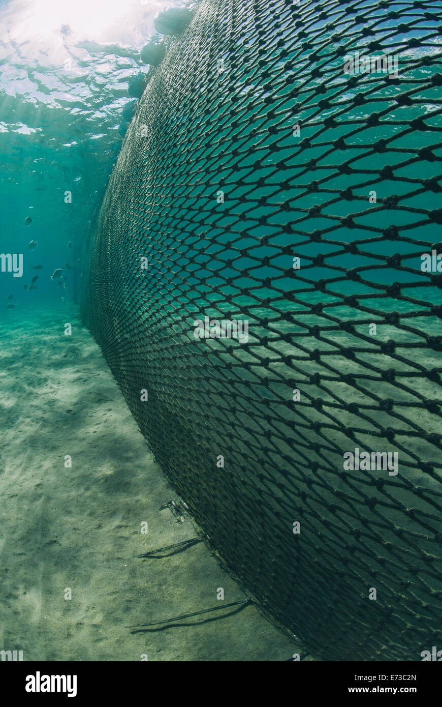 Shark net set in shallow water, Naama Bay, Ras Mohammed National Park ...