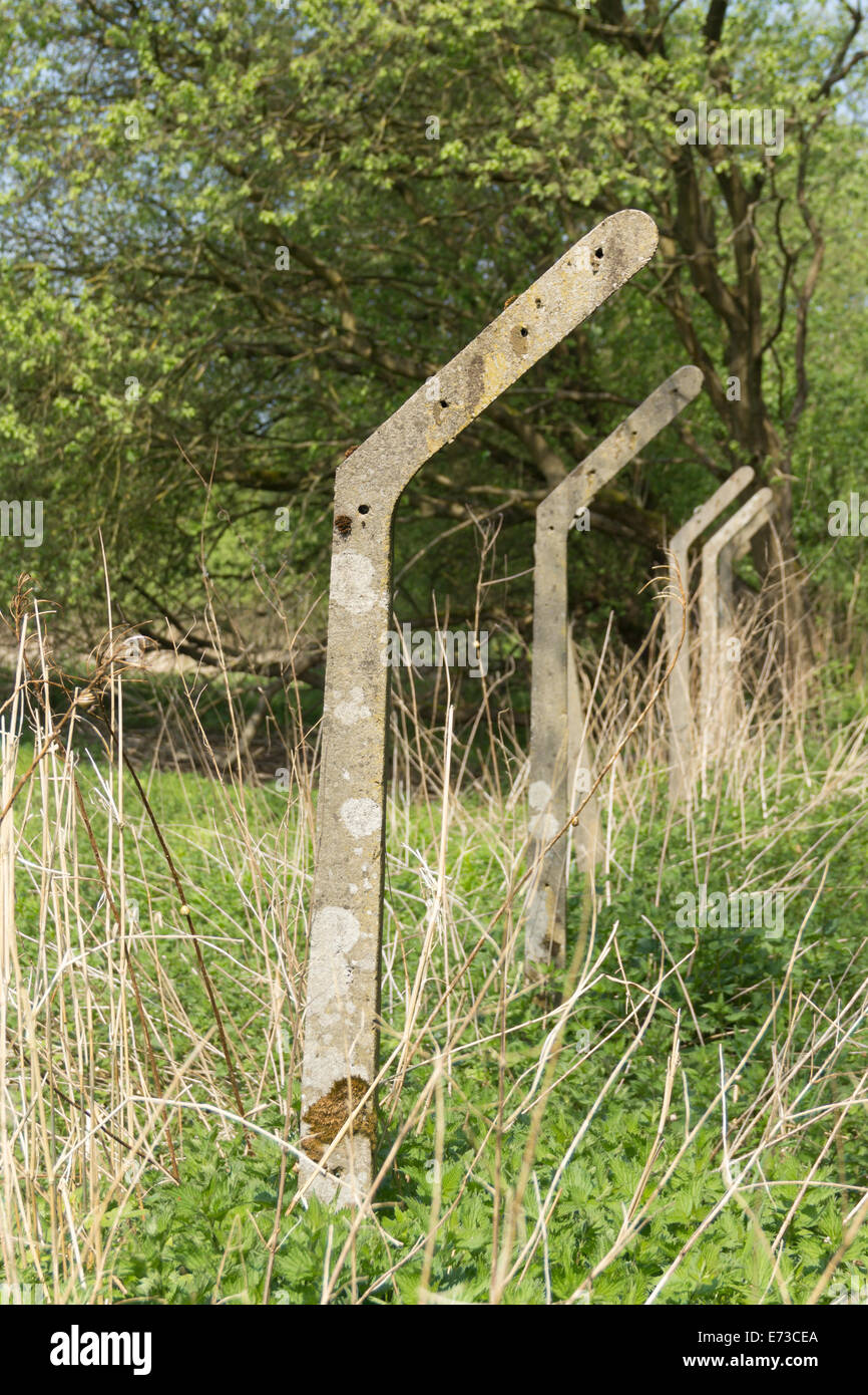 Derelict, tall concrete wire fence posts only, no fence wire, with 45 ...