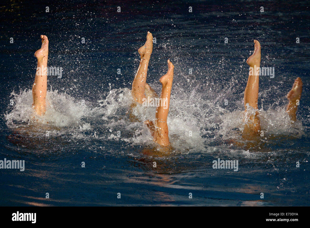 Singapore. 5th September, 2014. France's synchronised swimming team ...