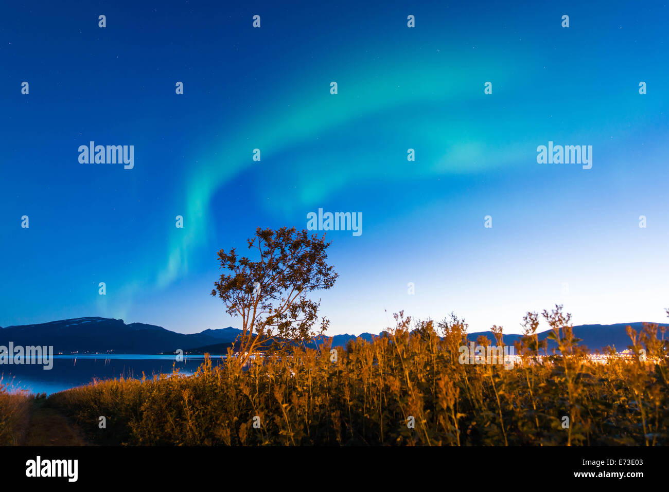 Baum bogen hi-res stock photography and images - Alamy