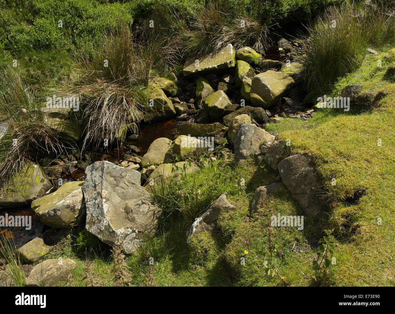 Sunny view large angular rocks impeding water flow in upland stream ...