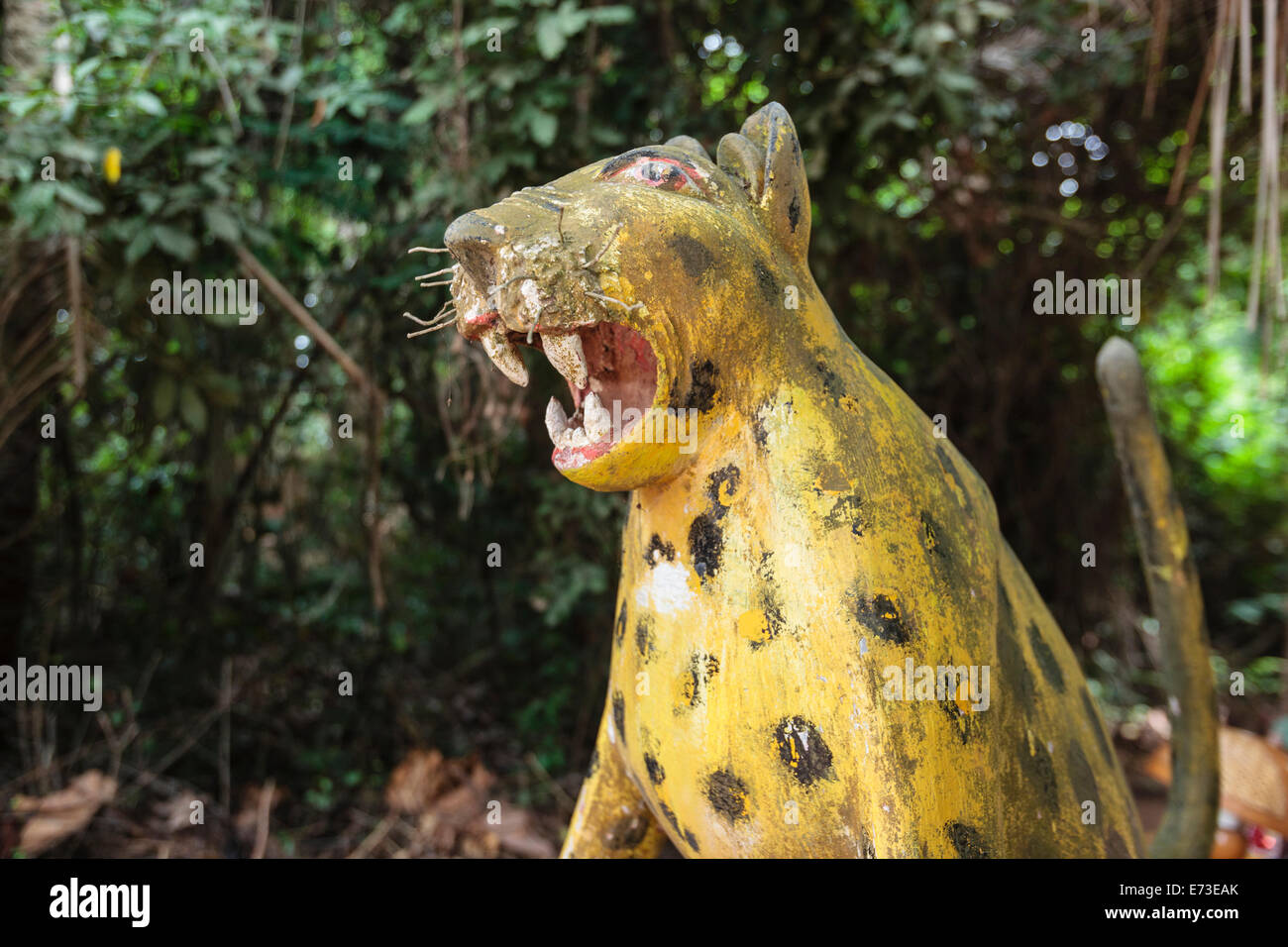 Leopard africa forest hi-res stock photography and images - Alamy