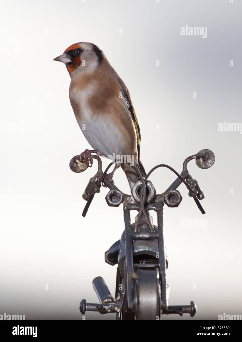 Chopper motorbike hi-res stock photography and images - Alamy