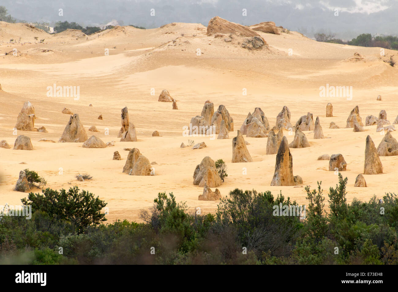 Pinnacles in Nambung National Park Stock Photo - Alamy