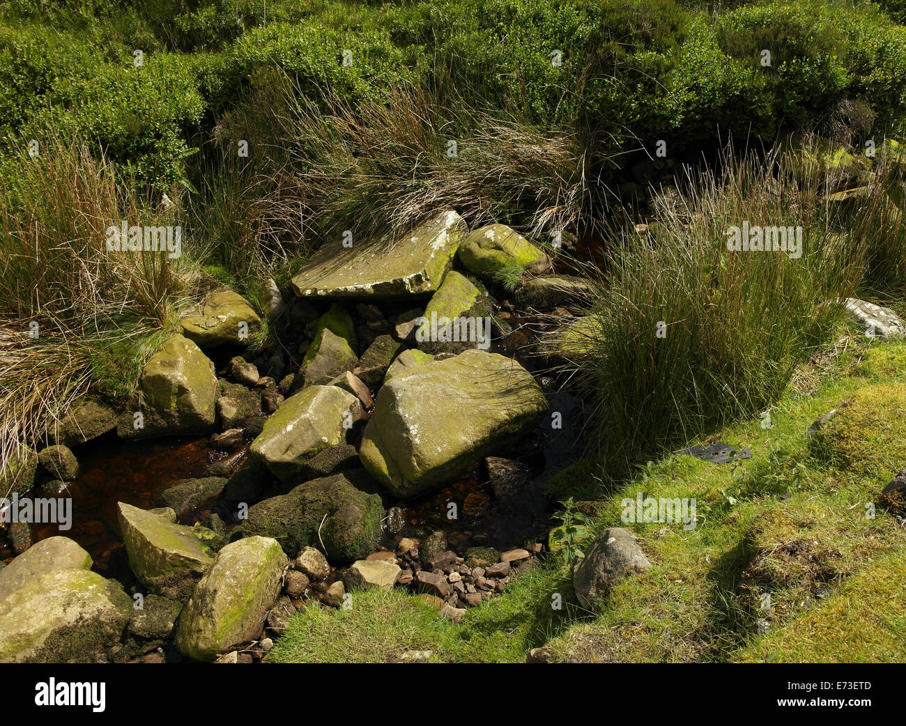 Sunny view angular boulder impeding water flow in narrow upland stream ...