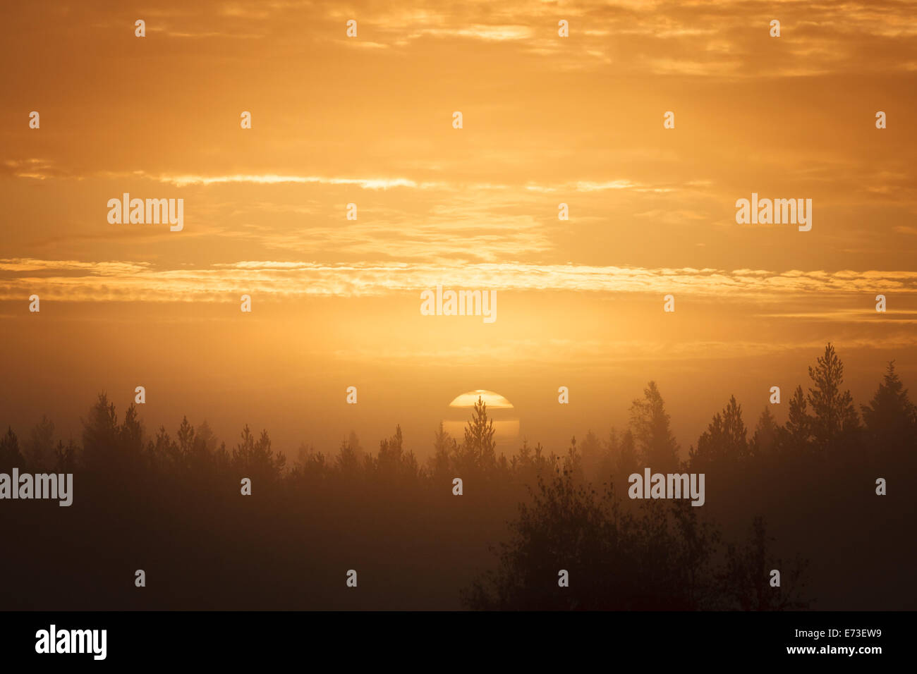 Sunrise over forest Stock Photo - Alamy