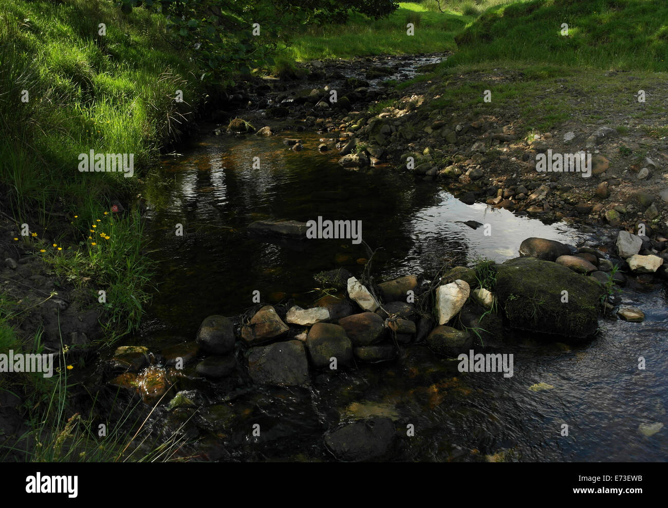 1 gravel stones pebbles beach slip off slope right mid distance hi-res ...