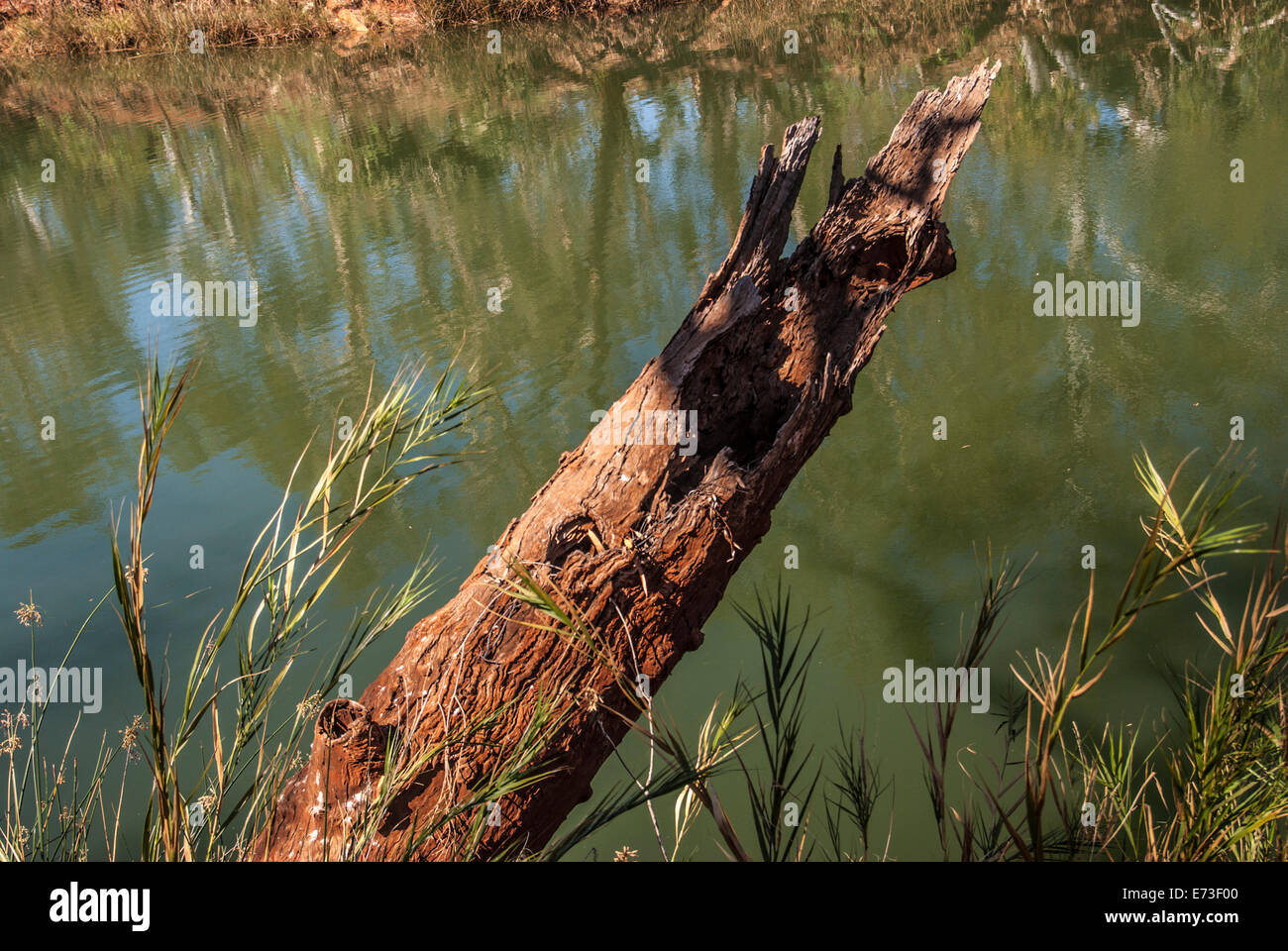 CROSSING POOL, MILLSTREAM CHICHESTER NATIONAL PARK, PILBARA REGION ...