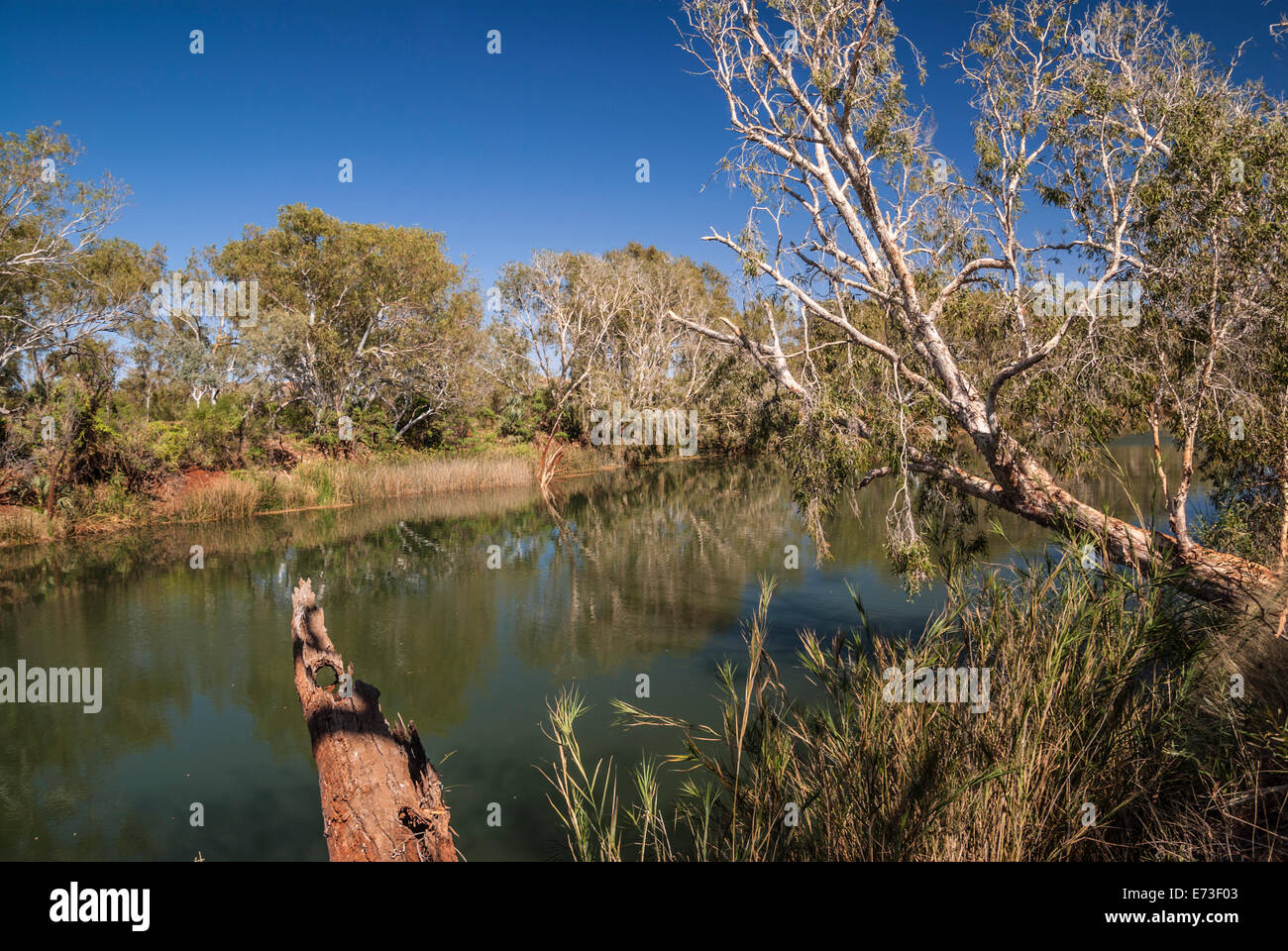 CROSSING POOL, MILLSTREAM CHICHESTER NATIONAL PARK, PILBARA REGION ...