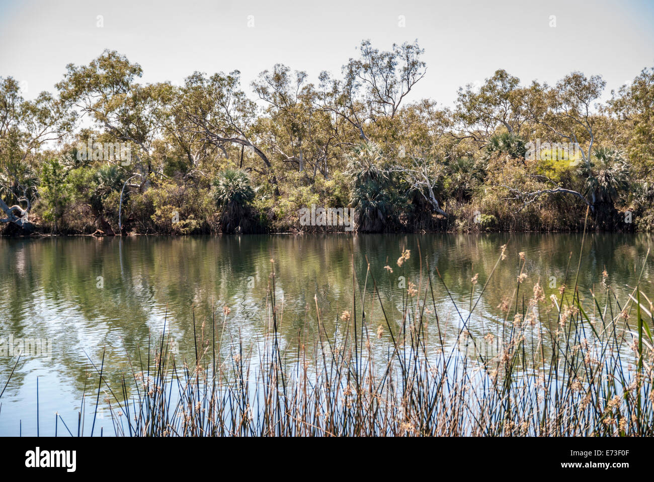 DEEP REACH, MILLSTREAM CHICHESTER NATIONAL PARK, PILBARA REGION, NORTH ...
