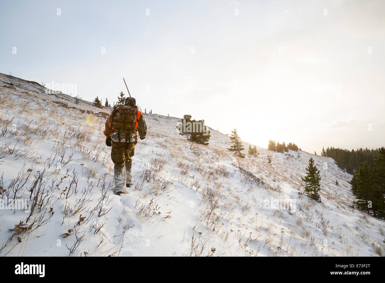 Hunter in orange hi-res stock photography and images - Alamy
