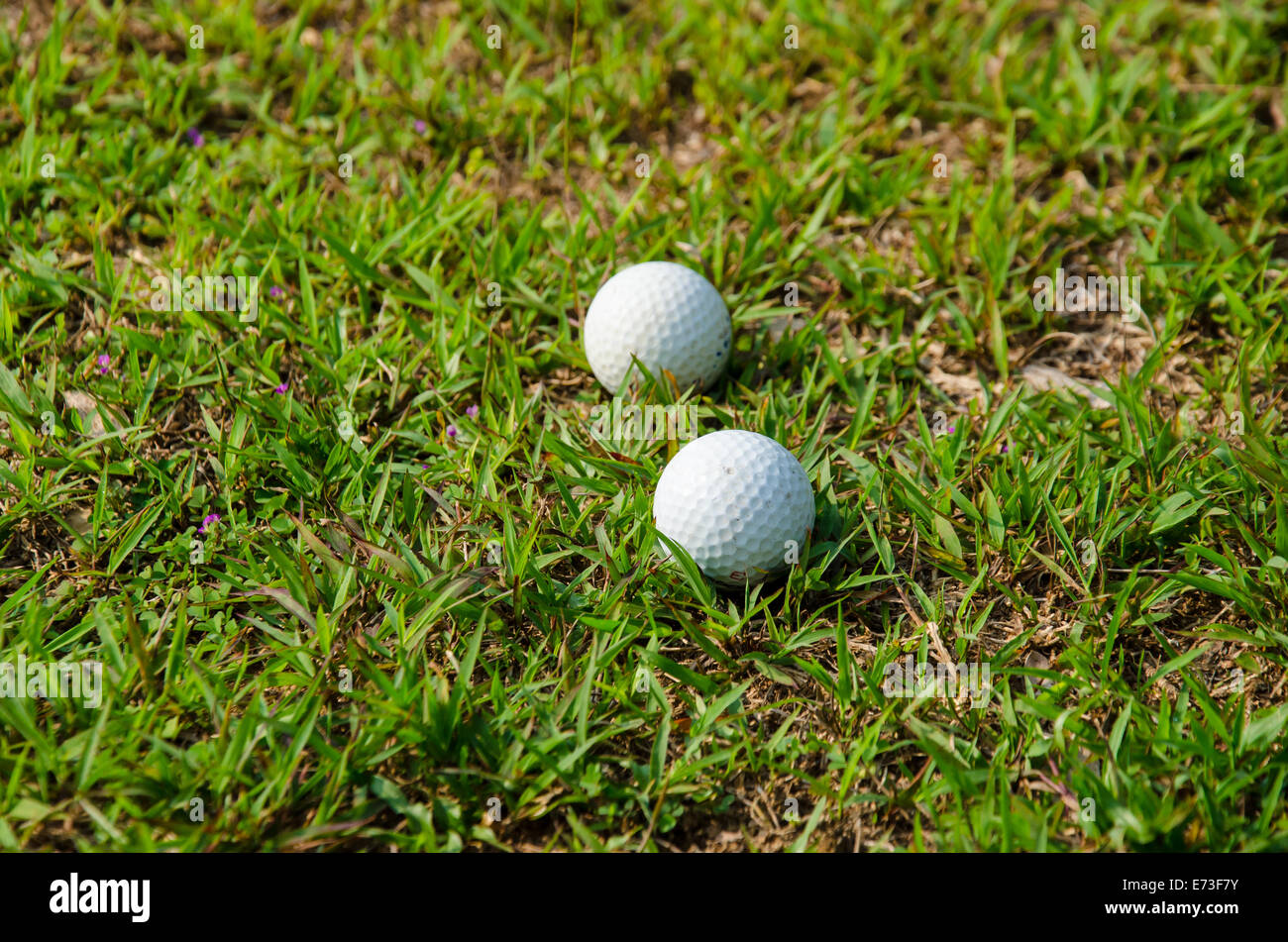 old golf ball on green for play Stock Photo - Alamy