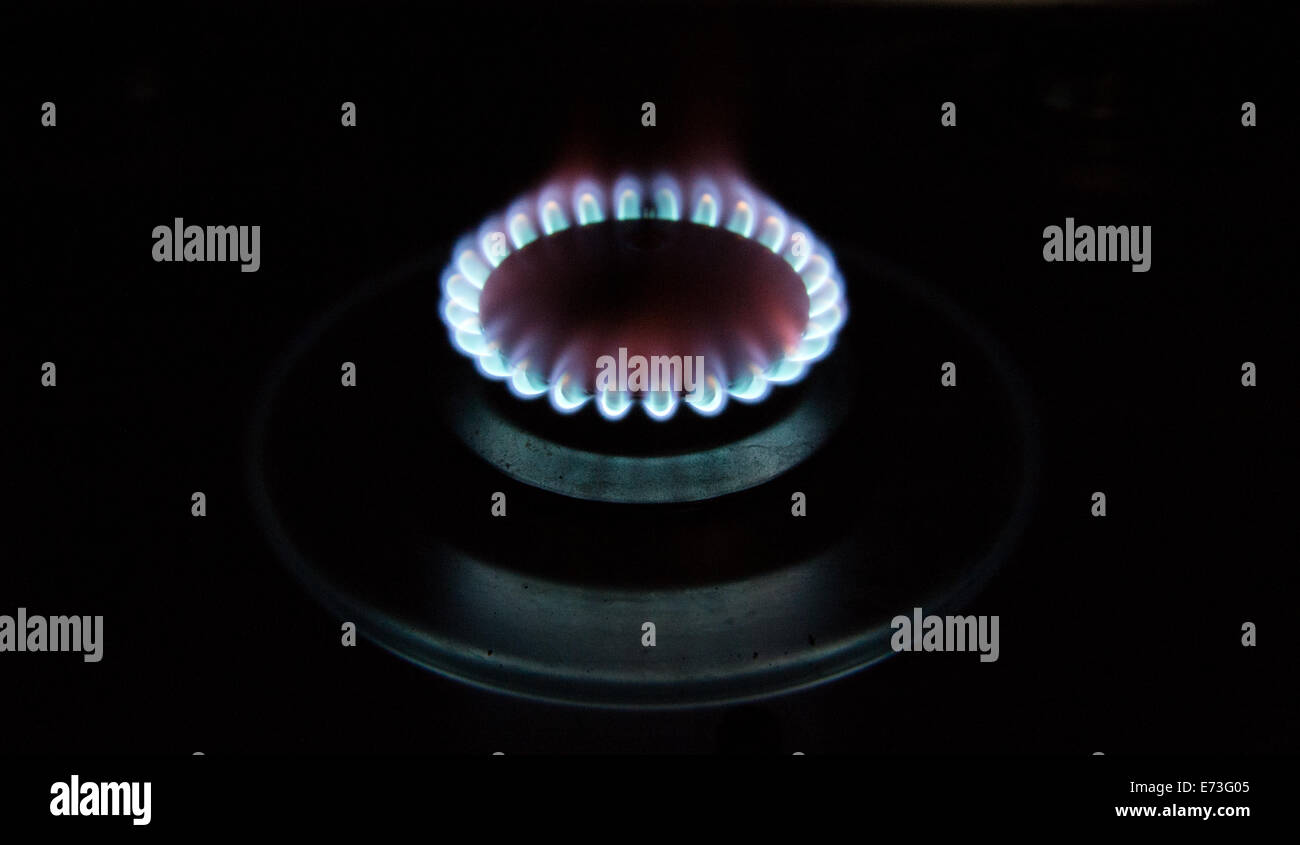 The flame of a gas cooker, 28 August 2014 in Hamburg Stock Photo - Alamy