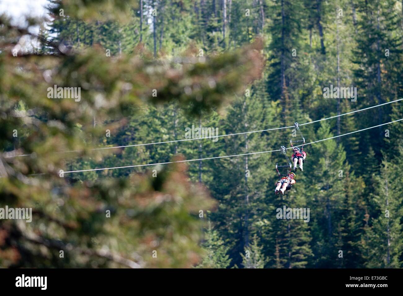 A woman and her son on a zip line in Whitefish, Montana Stock Photo - Alamy