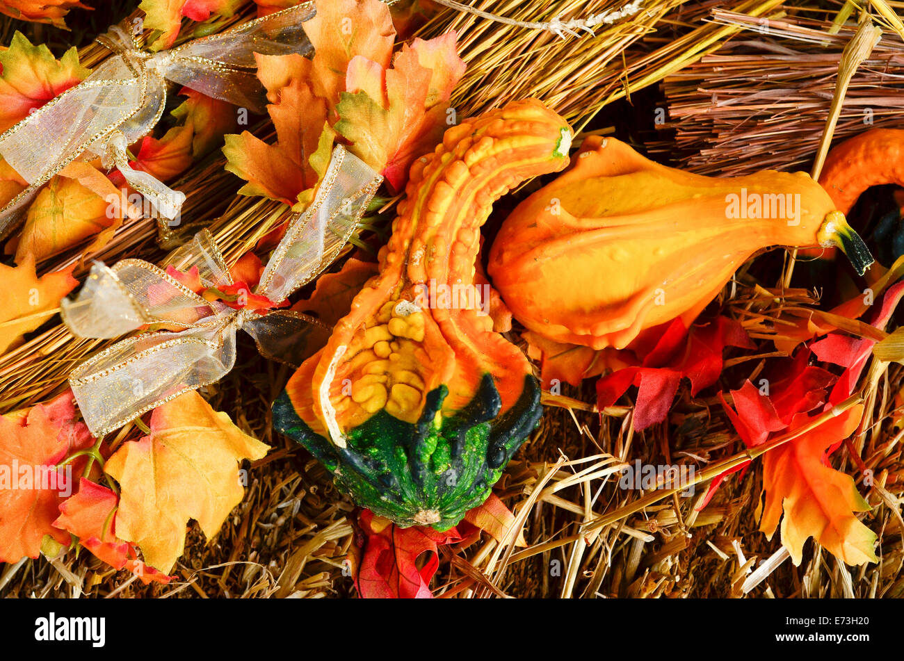 Straw leaf High Resolution Stock Photography and Images - Alamy