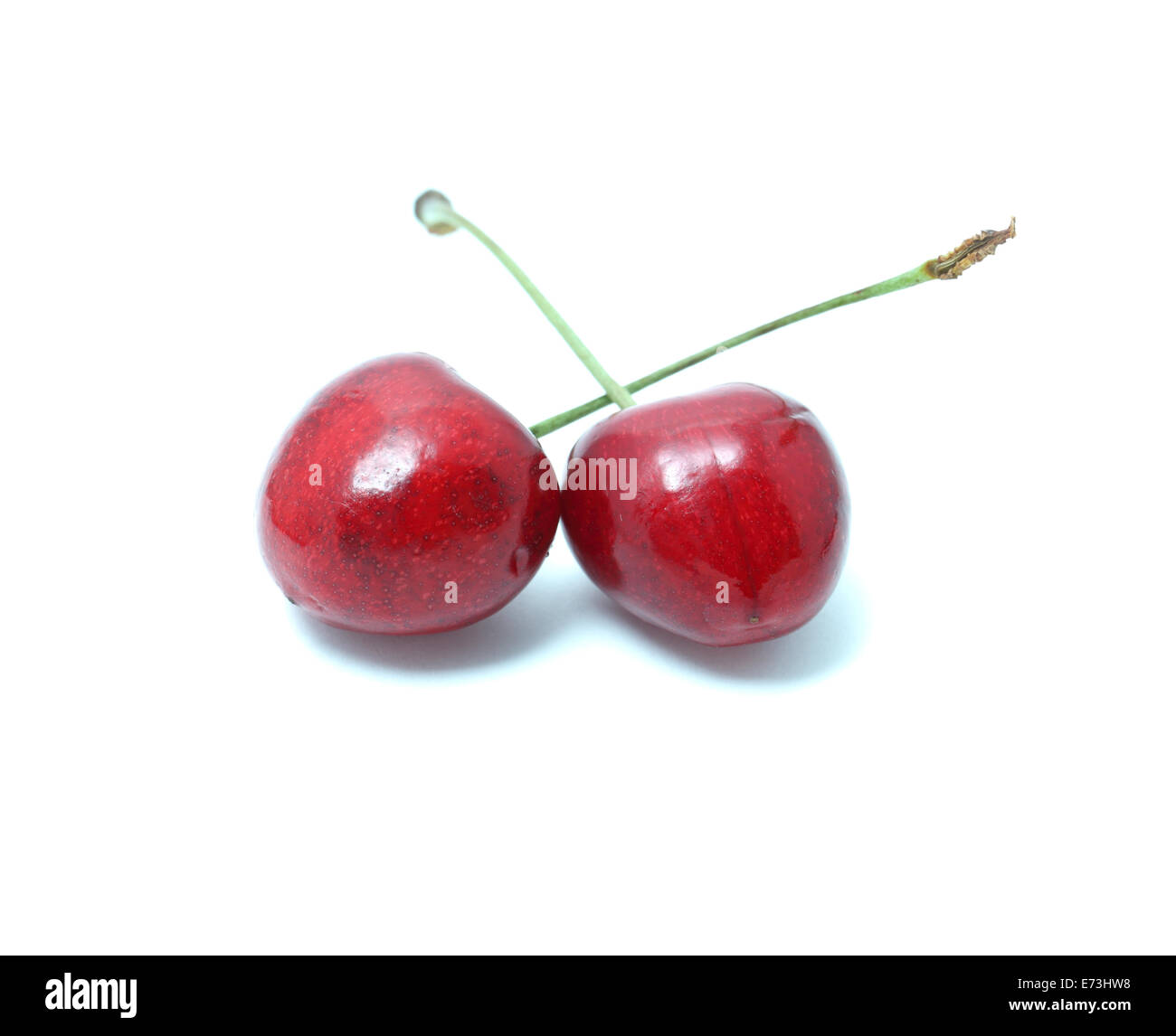 two cherry isolated on white background Stock Photo - Alamy