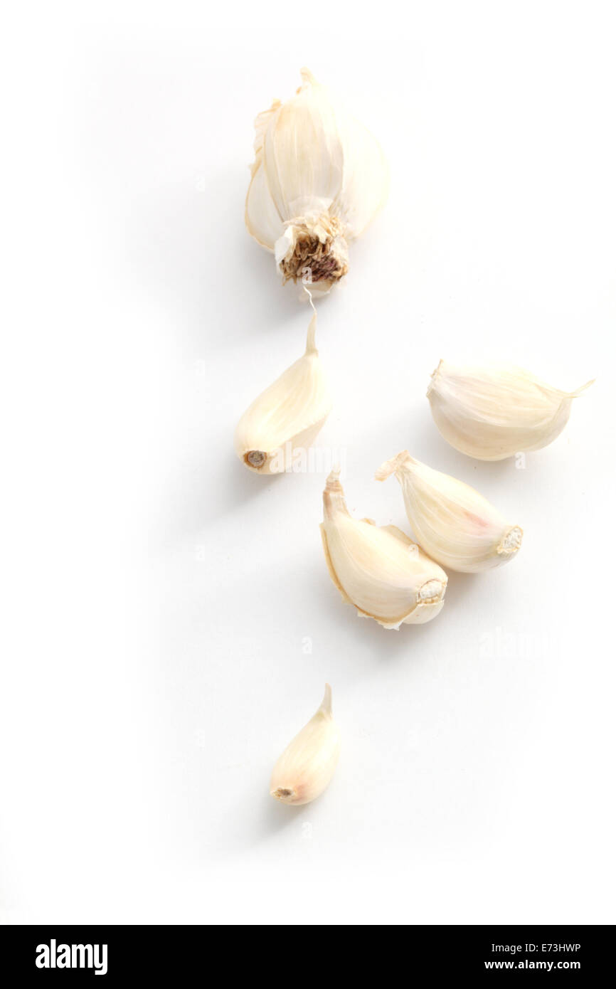 garlic on a white background Stock Photo - Alamy