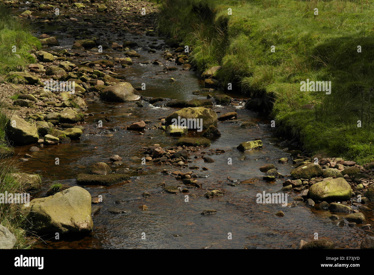Sunny view straight section stony channel Marshaw Wyre River between ...