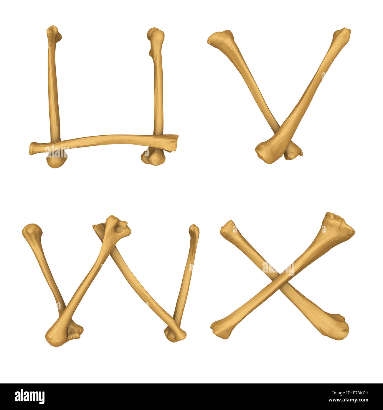 Skeleton alphabet U-X isolated on white background Stock Photo - Alamy