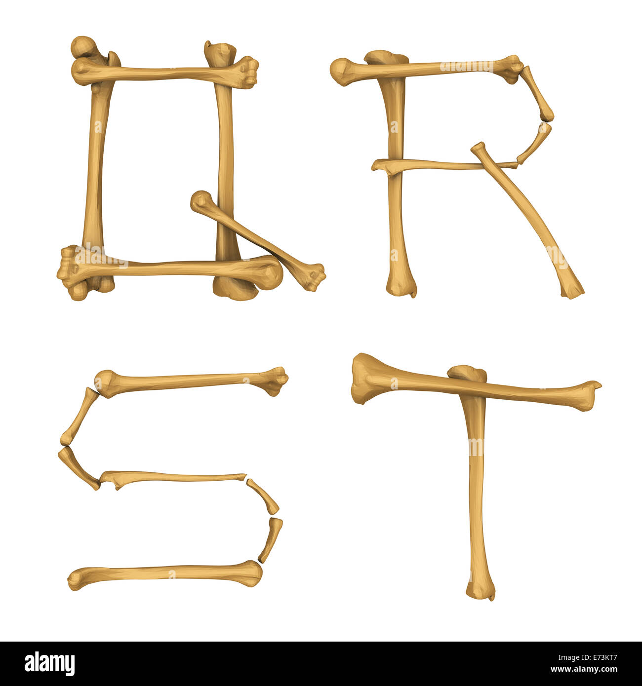 Human skull realistic skeleton Cut Out Stock Images & Pictures - Alamy