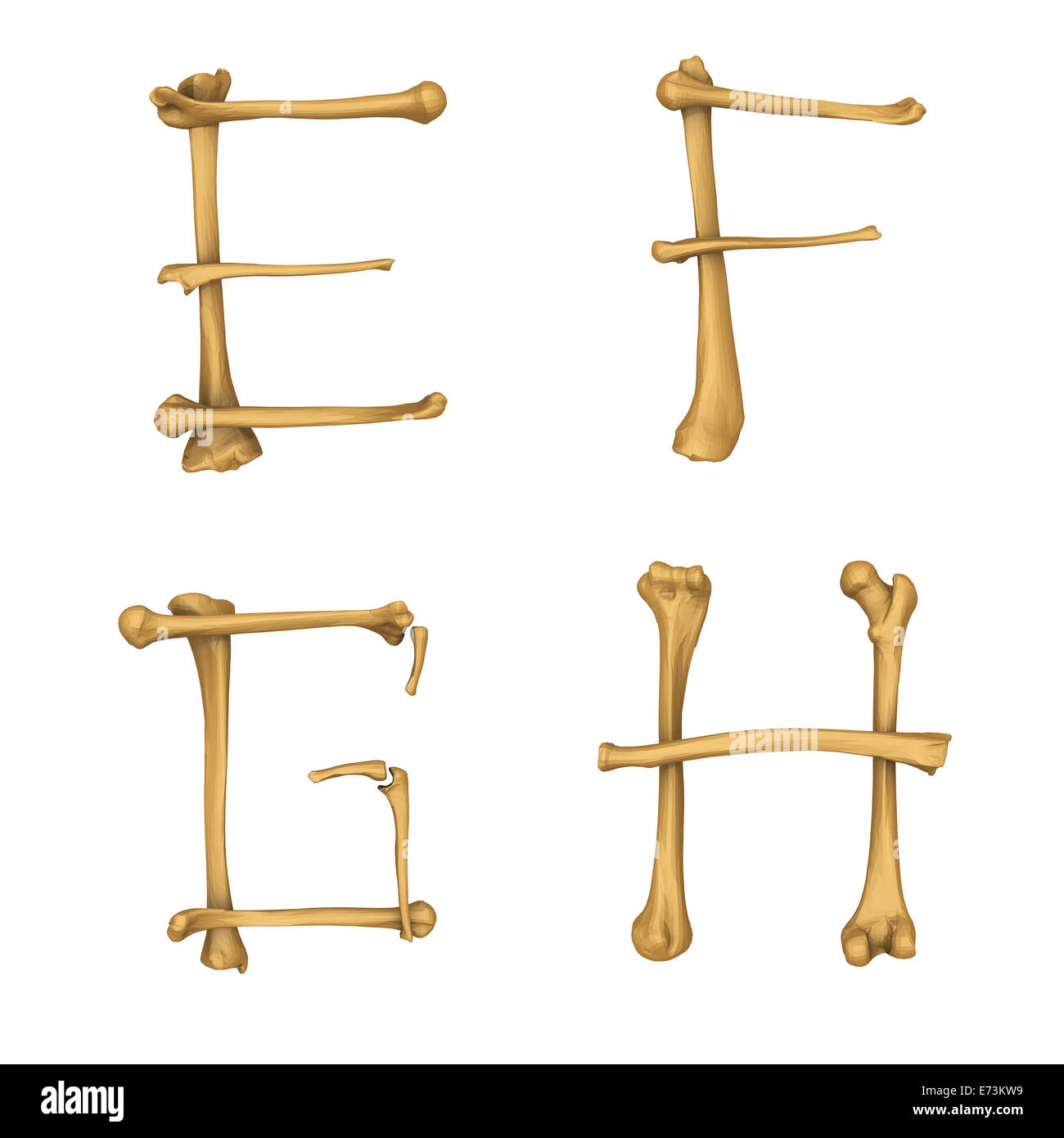 Skeleton alphabet E-H isolated on white background Stock Photo - Alamy