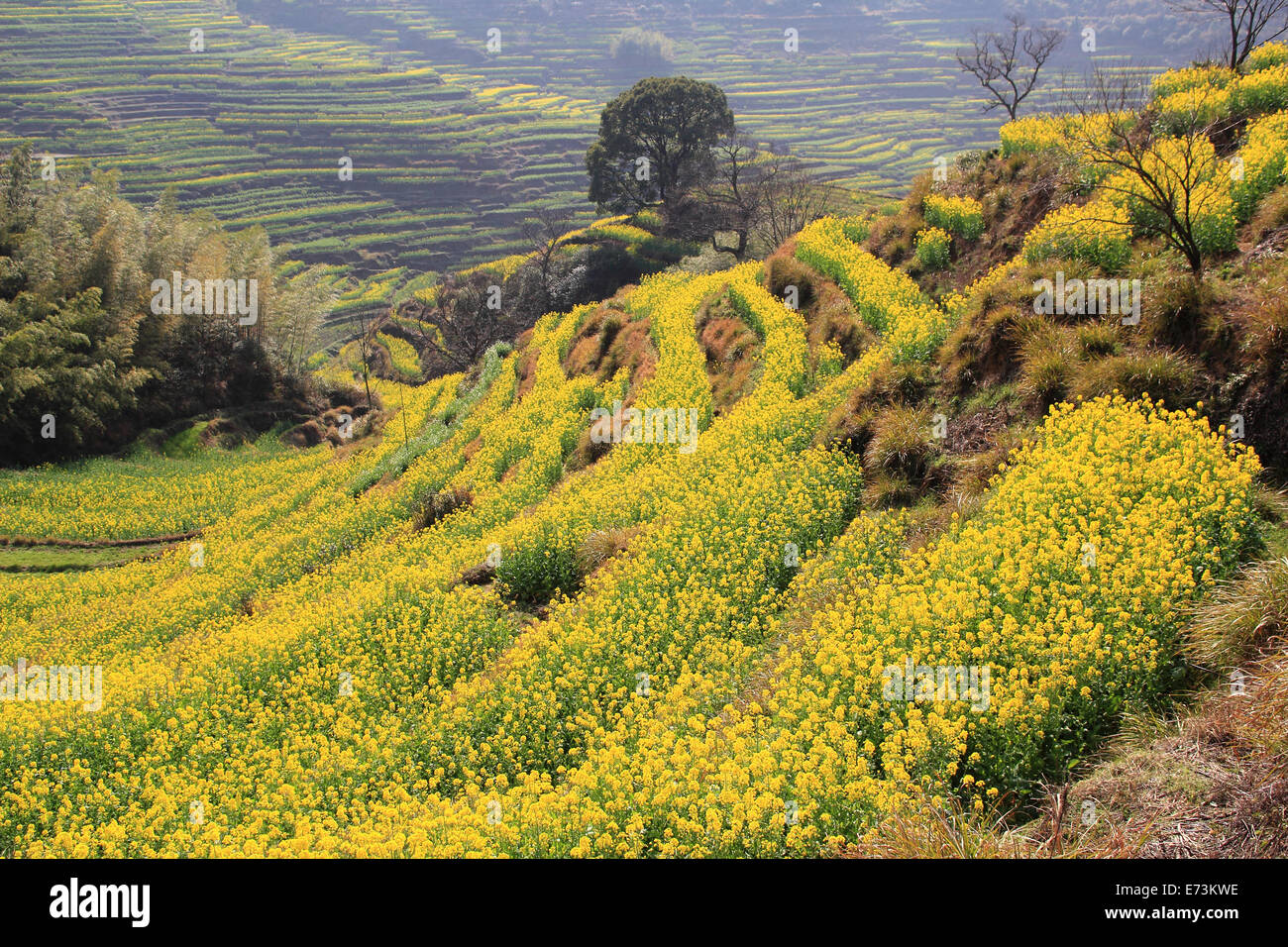 spring landscape China Stock Photo - Alamy