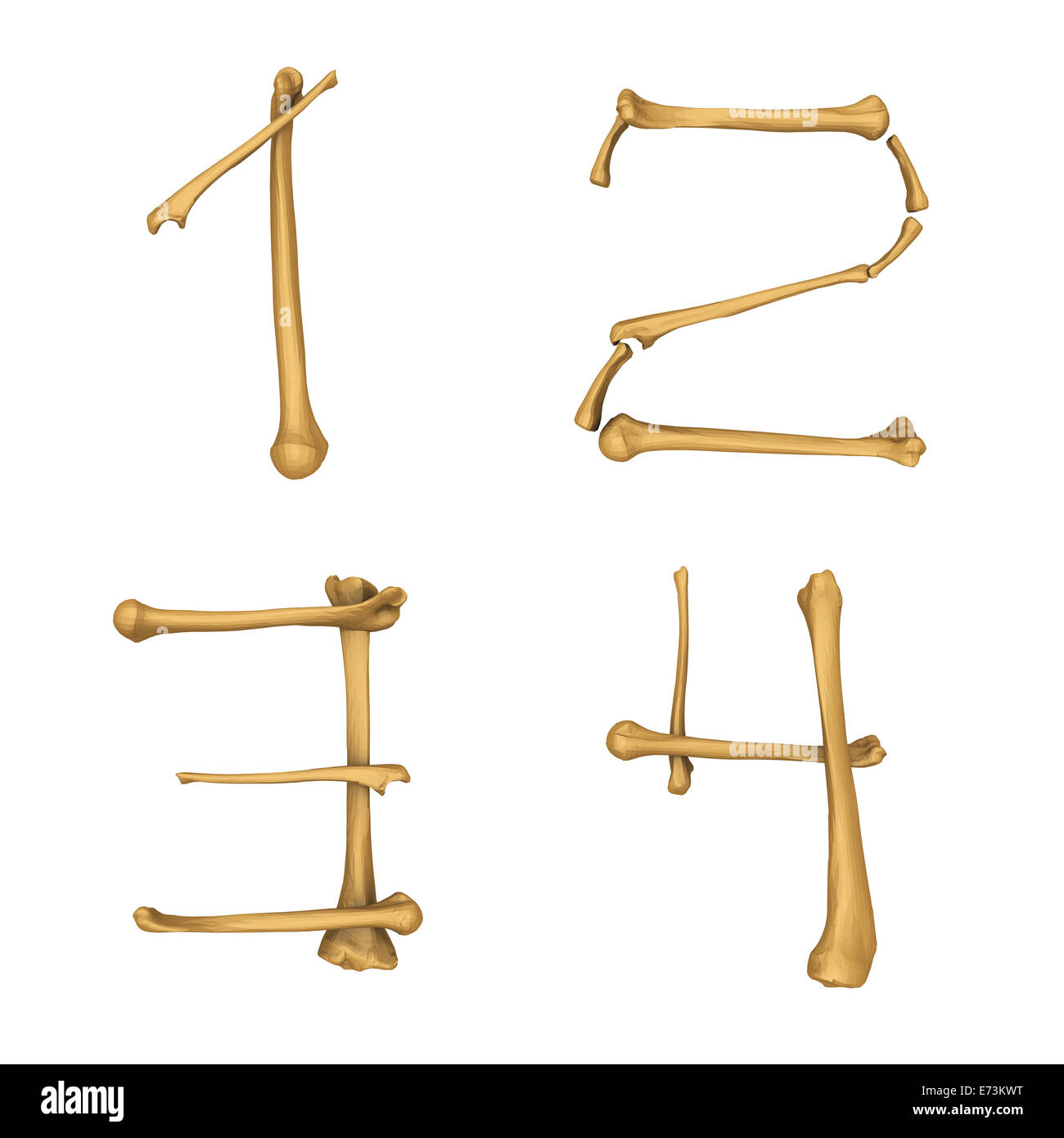 Skeleton alphabet number 1-4 isolated on white background Stock Photo ...