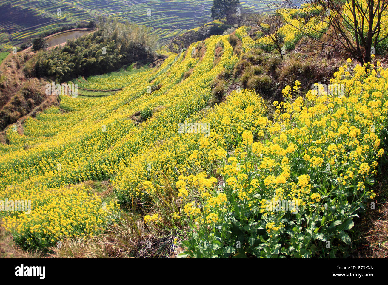 Wu xi china hi-res stock photography and images - Alamy