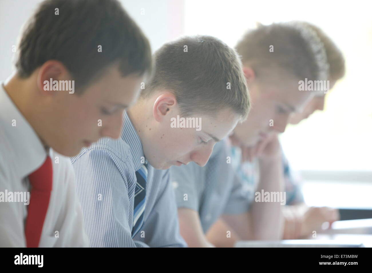 Boys in classroom back of heads hi-res stock photography and images - Alamy