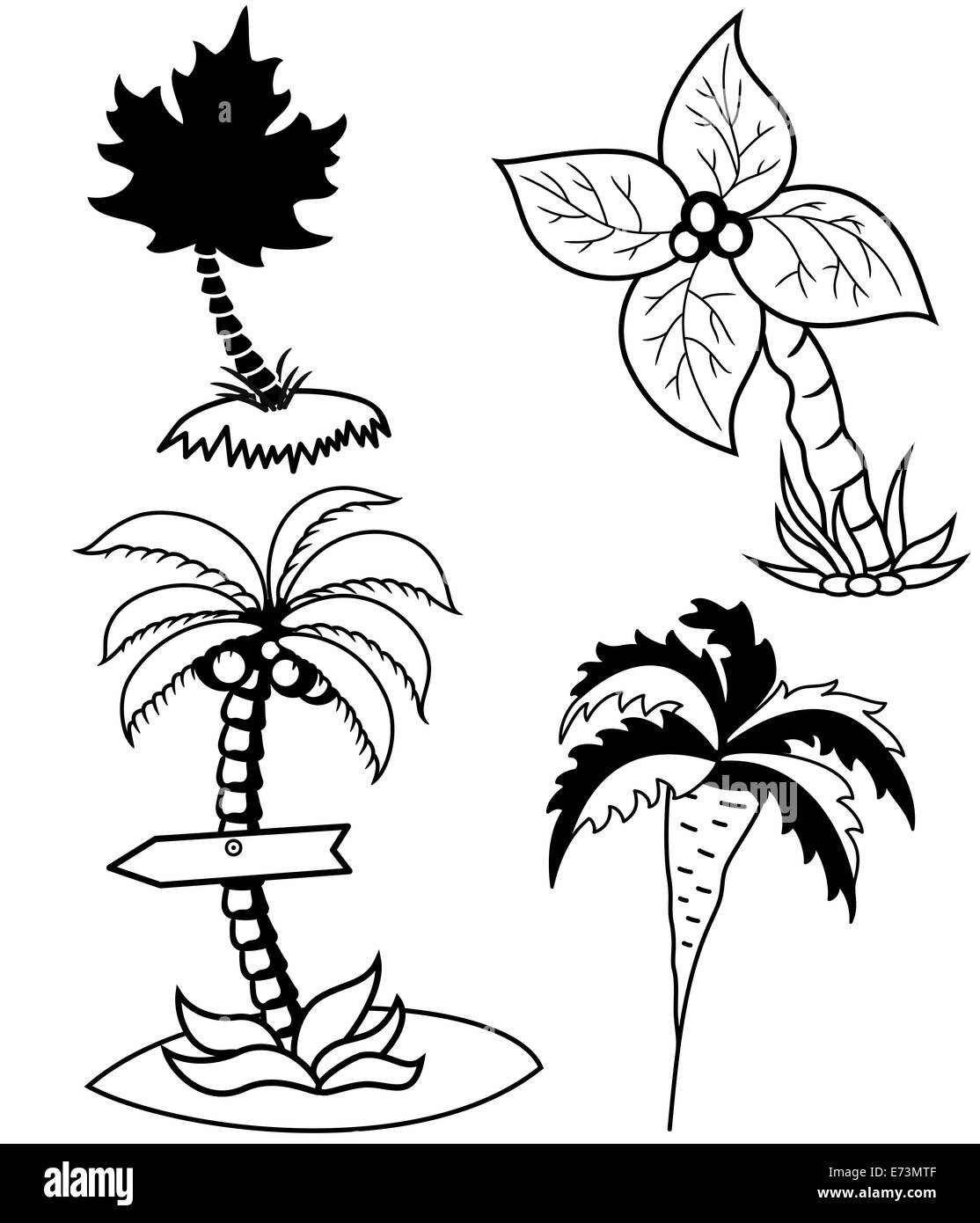 Exotic palm tree tropical Black and White Stock Photos & Images - Alamy