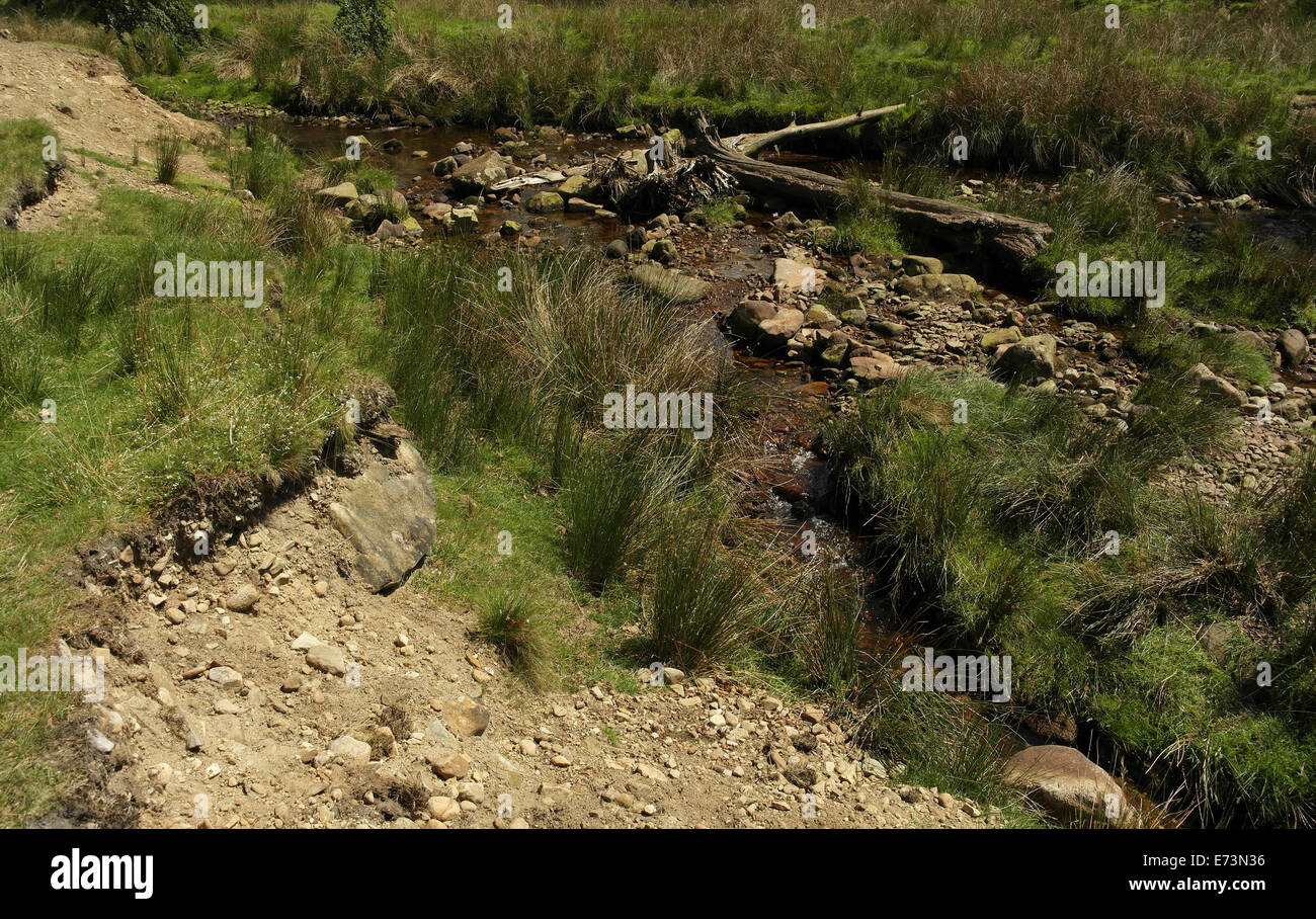Sunny view from grassy gravel river bank towards two logs lying stones ...